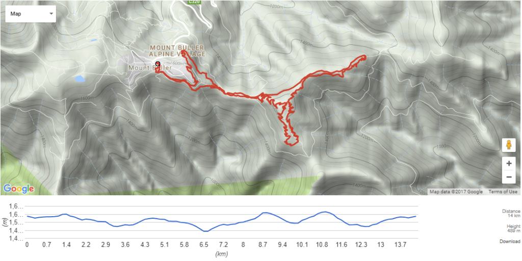 Trail running at Mt Buller